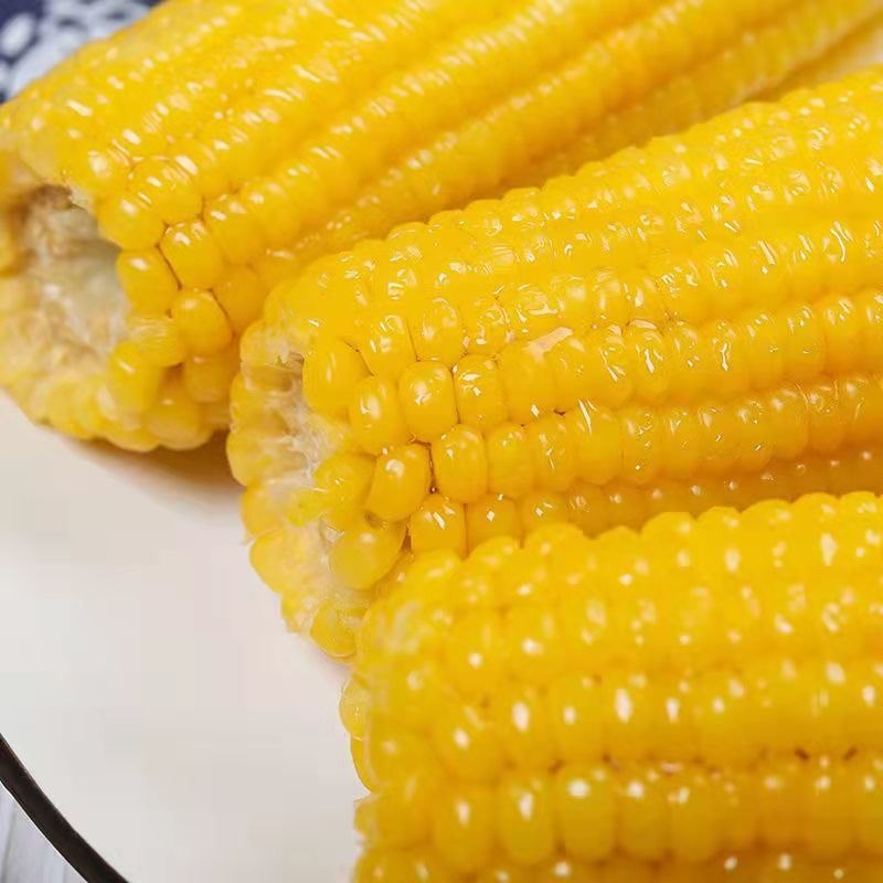 本店推荐】黄糯玉米 220g15支 真空玉米 烧烤速食食材】 惠买 正品拼团上惠买